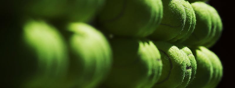 LTA announce multi-million pound support package for tennis in Britain ...